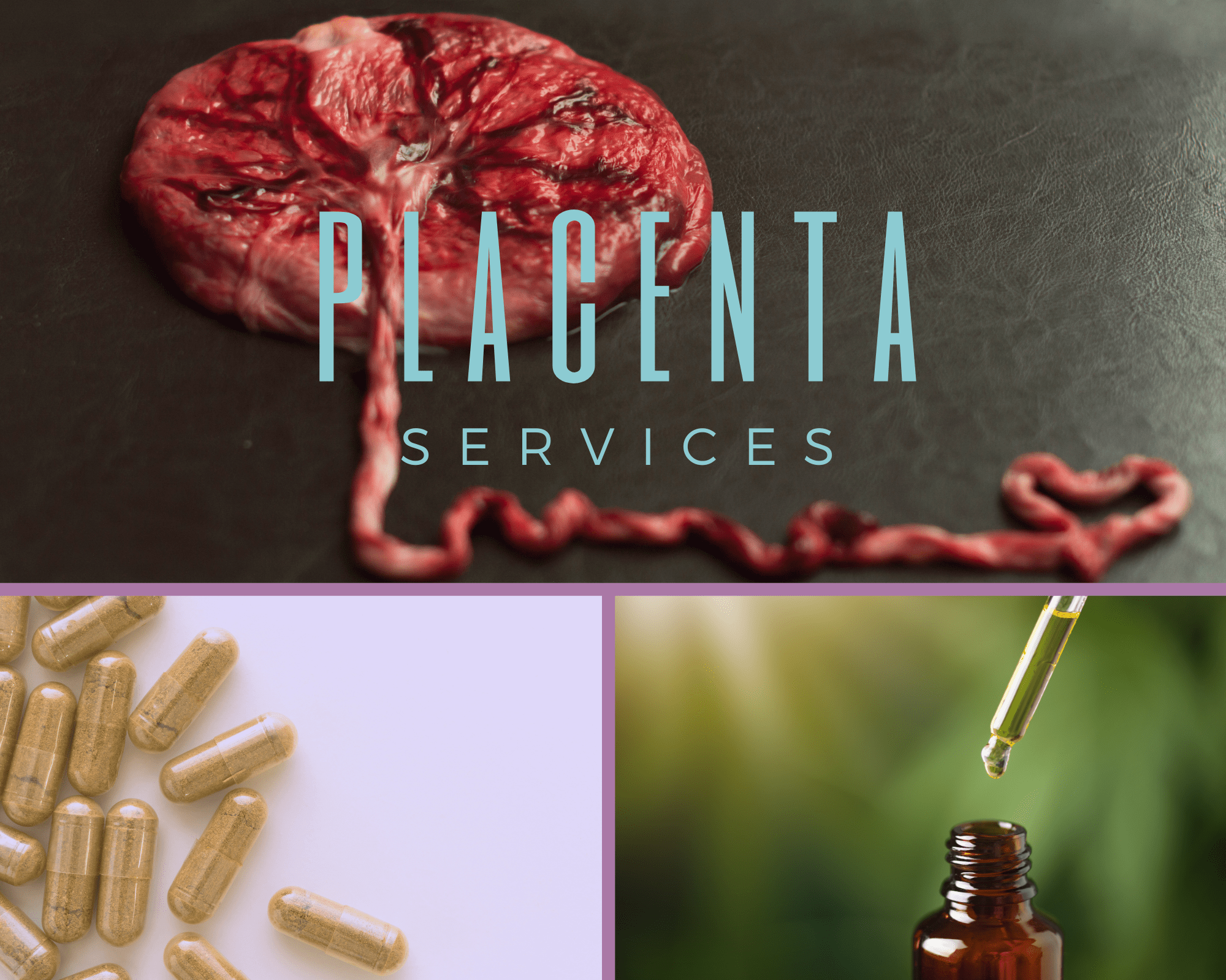 Other Products/Services - Atala Doula Services